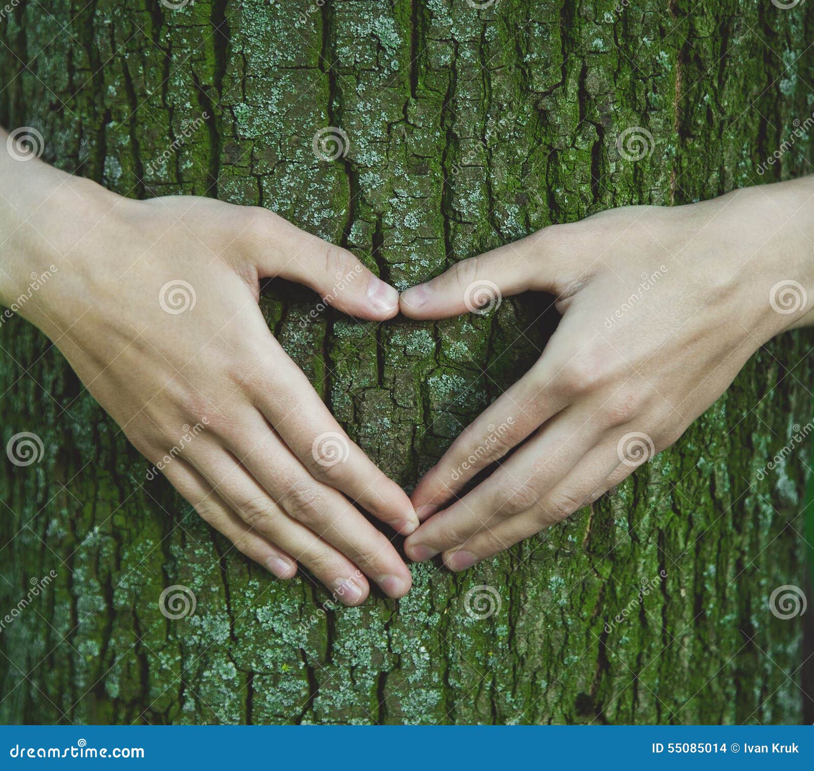Hands Making Heart Shape on Tree Stock Photo - Image of background ...