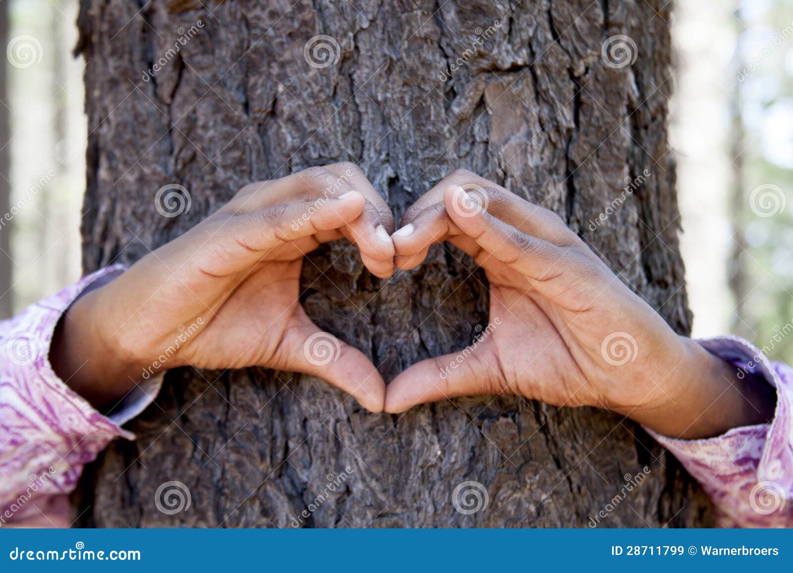 Heart Tree Stock Photo | CartoonDealer.com #28735884
