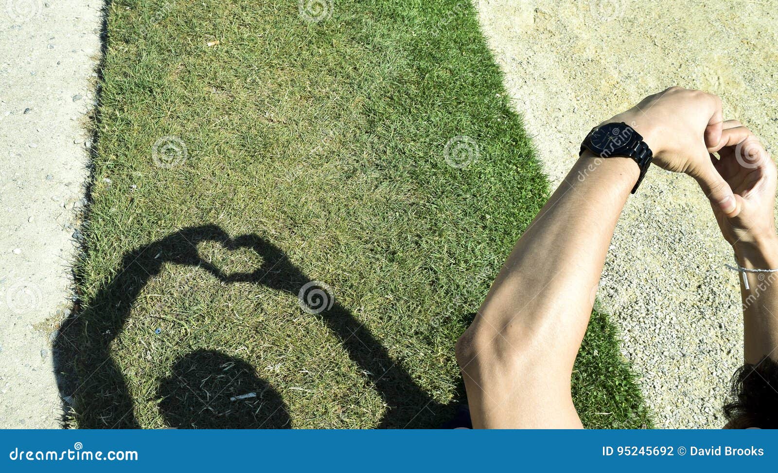 Hands Making Heart Symbol Shadow Stock Photo - Image of love ...