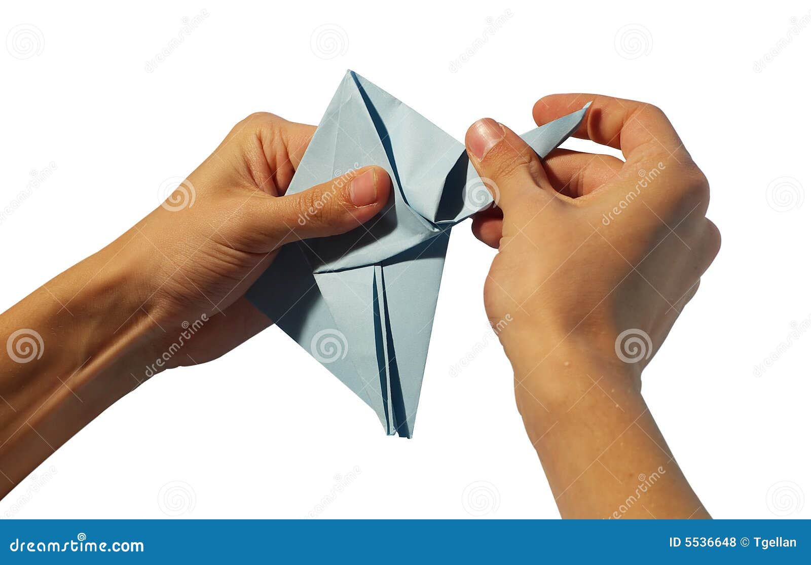 Hands making origami stock photo. Image of hobbies, isolated - 5536648