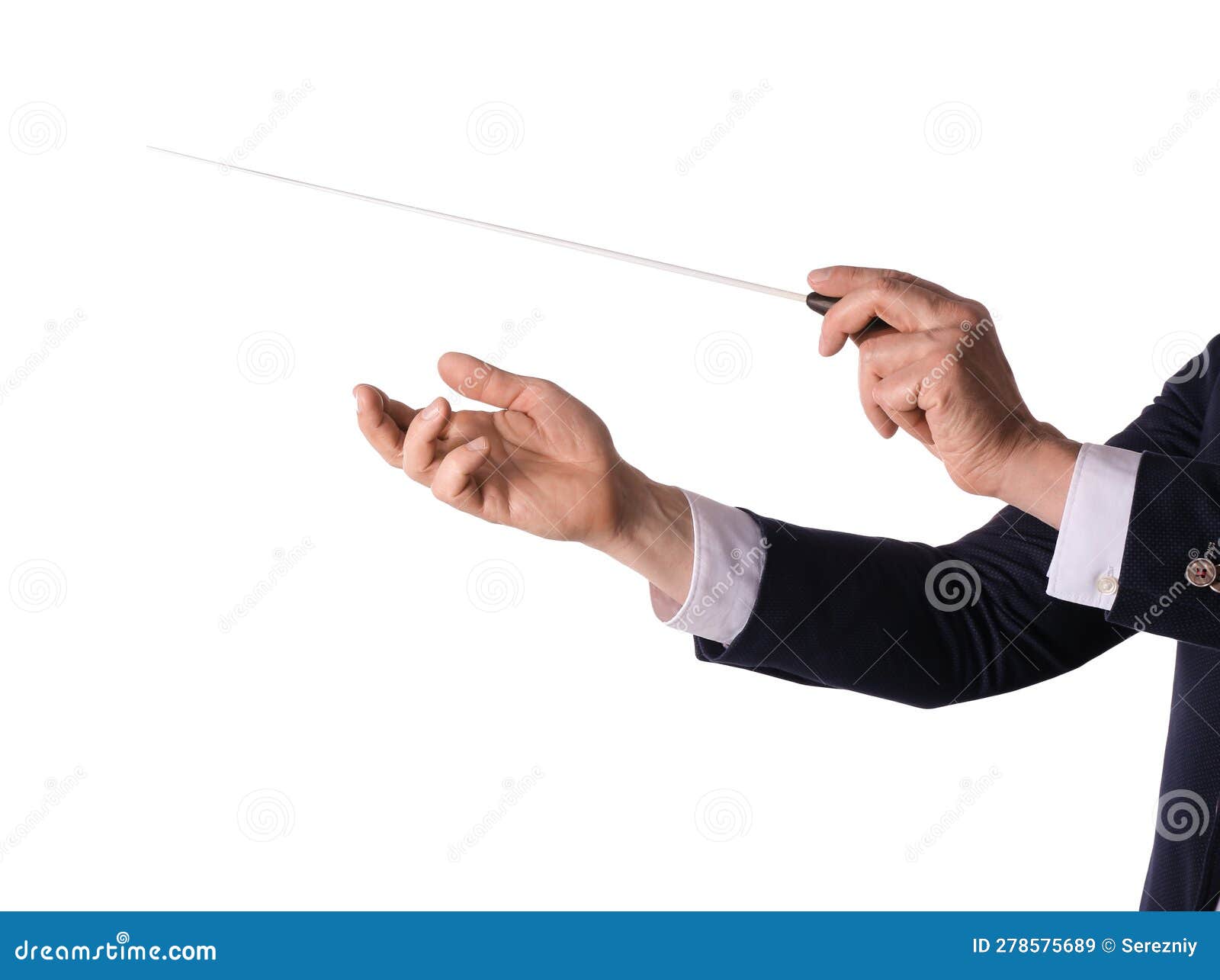 Hands of Male Conductor on White Background Stock Image - Image of ...