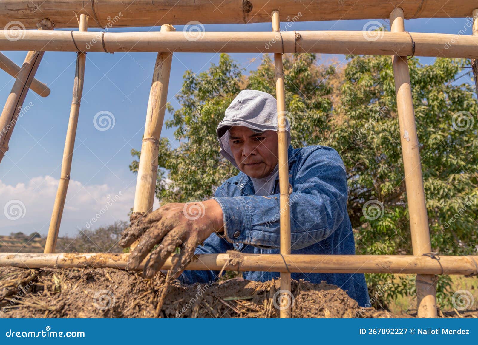 Hands a Man Building a Wall with Reed and Mud, Bioconstruction Stock ...