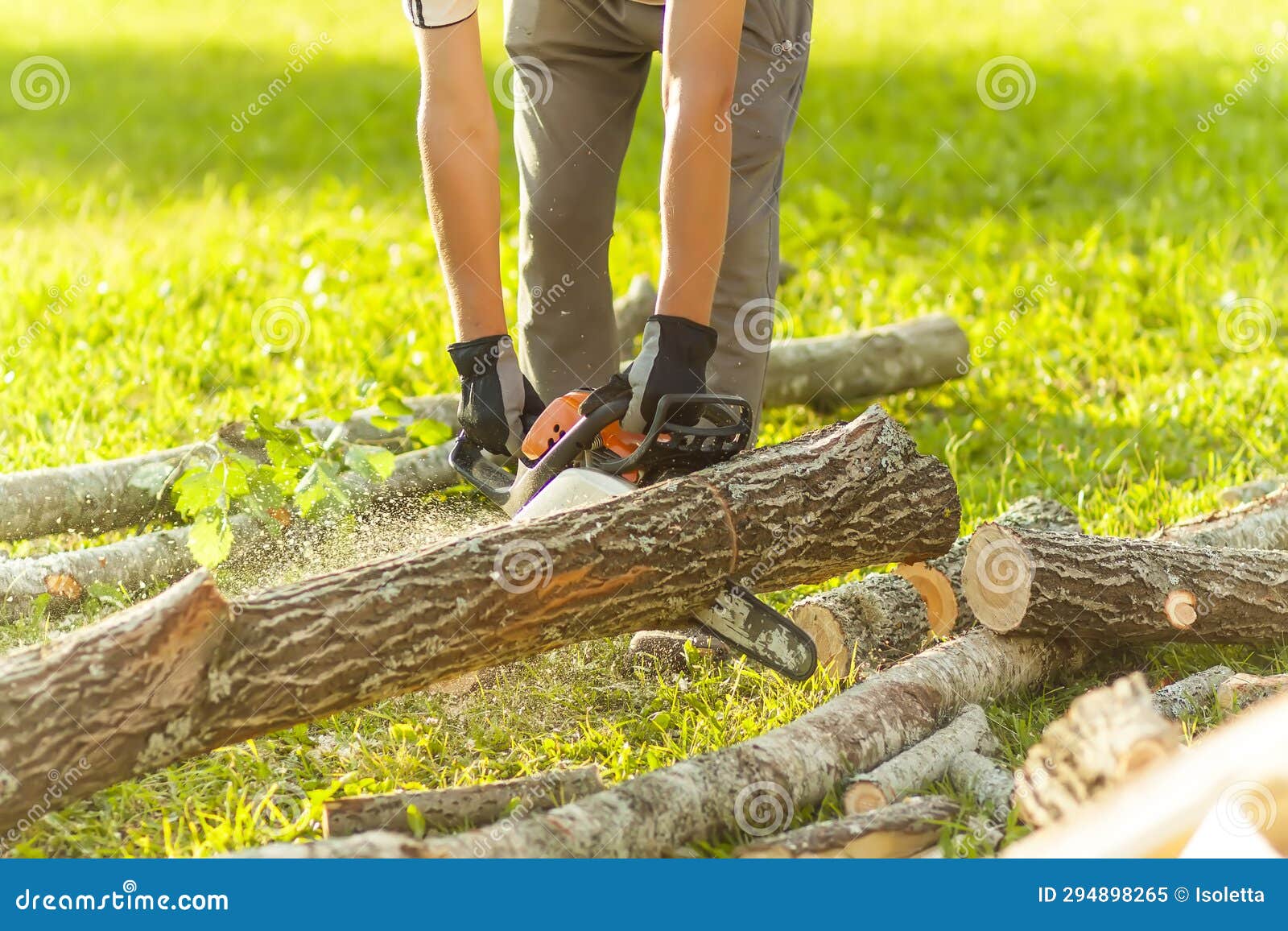 Hands of a Man Holding a Chainsaw and Saw Logs Stock Image - Image of ...