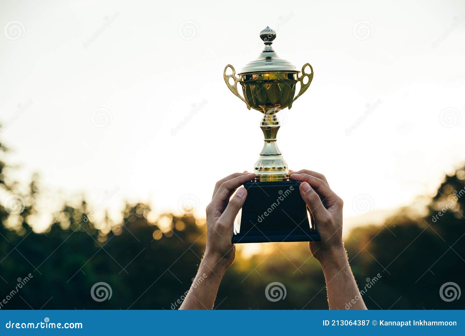Hands of Man Raise Golden Trophy Stock Image - Image of successful ...