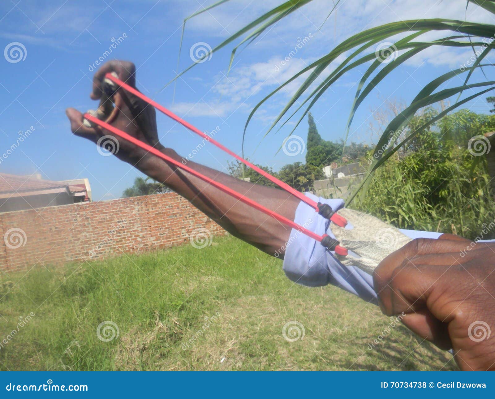 Hands of Man Using a Catapult. Stock Photo - Image of rubber, armament ...