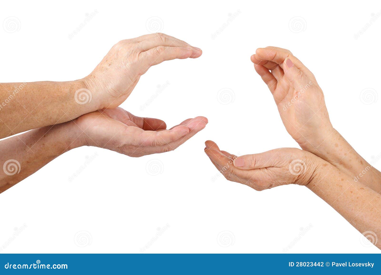 Hands Man and Woman Shows Hold Offer Gesture Stock Photo - Image of ...