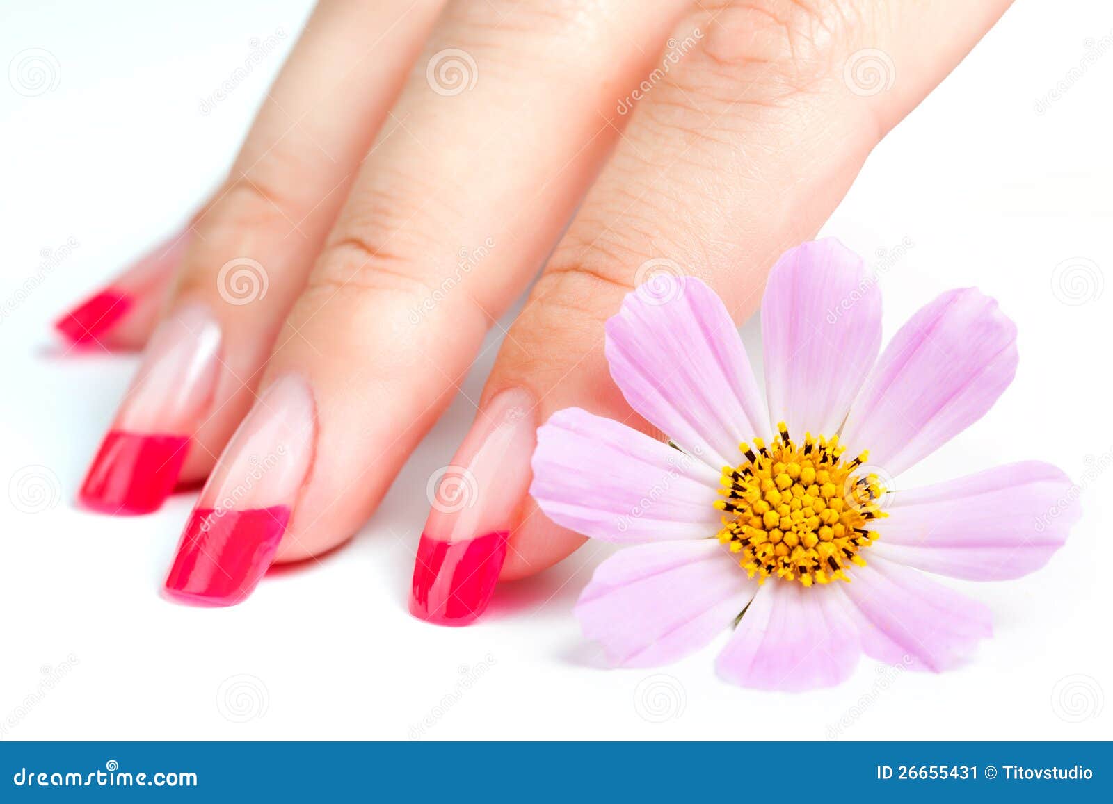 Hands with Manicure Relaxing with Flowers Stock Image - Image of clean ...