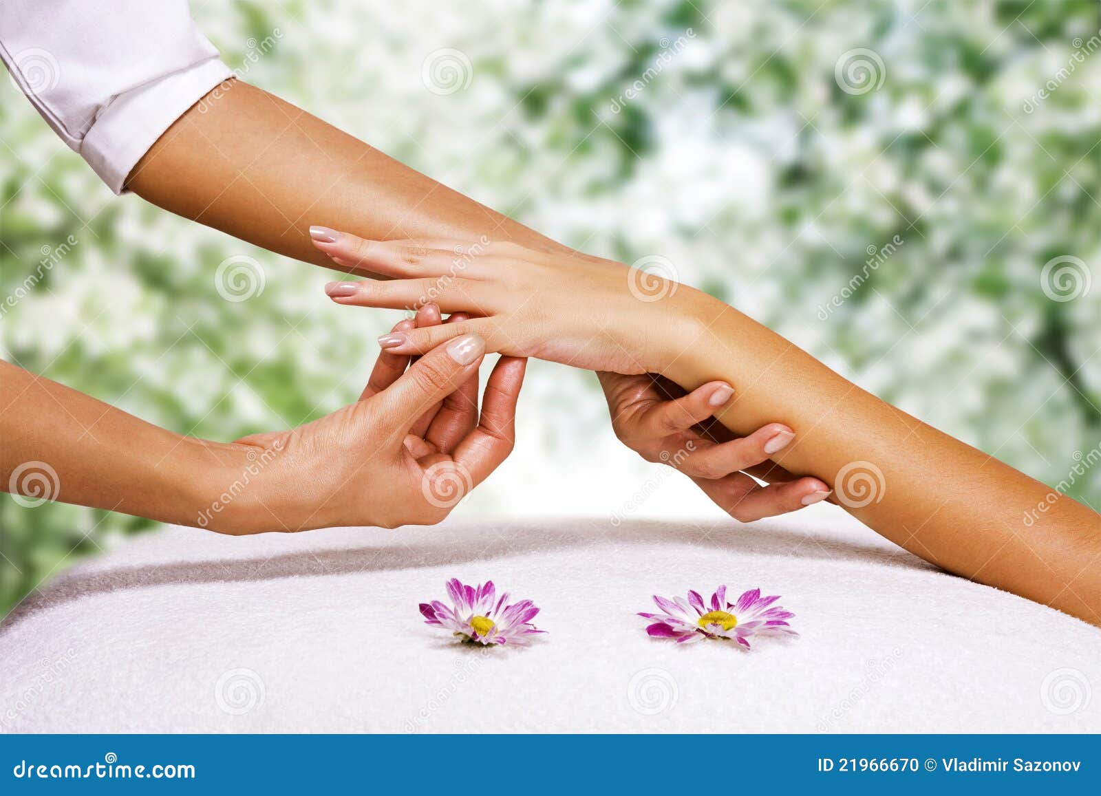 Hands Massage in the Spa Salon Stock Photo - Image of healer, vitality ...