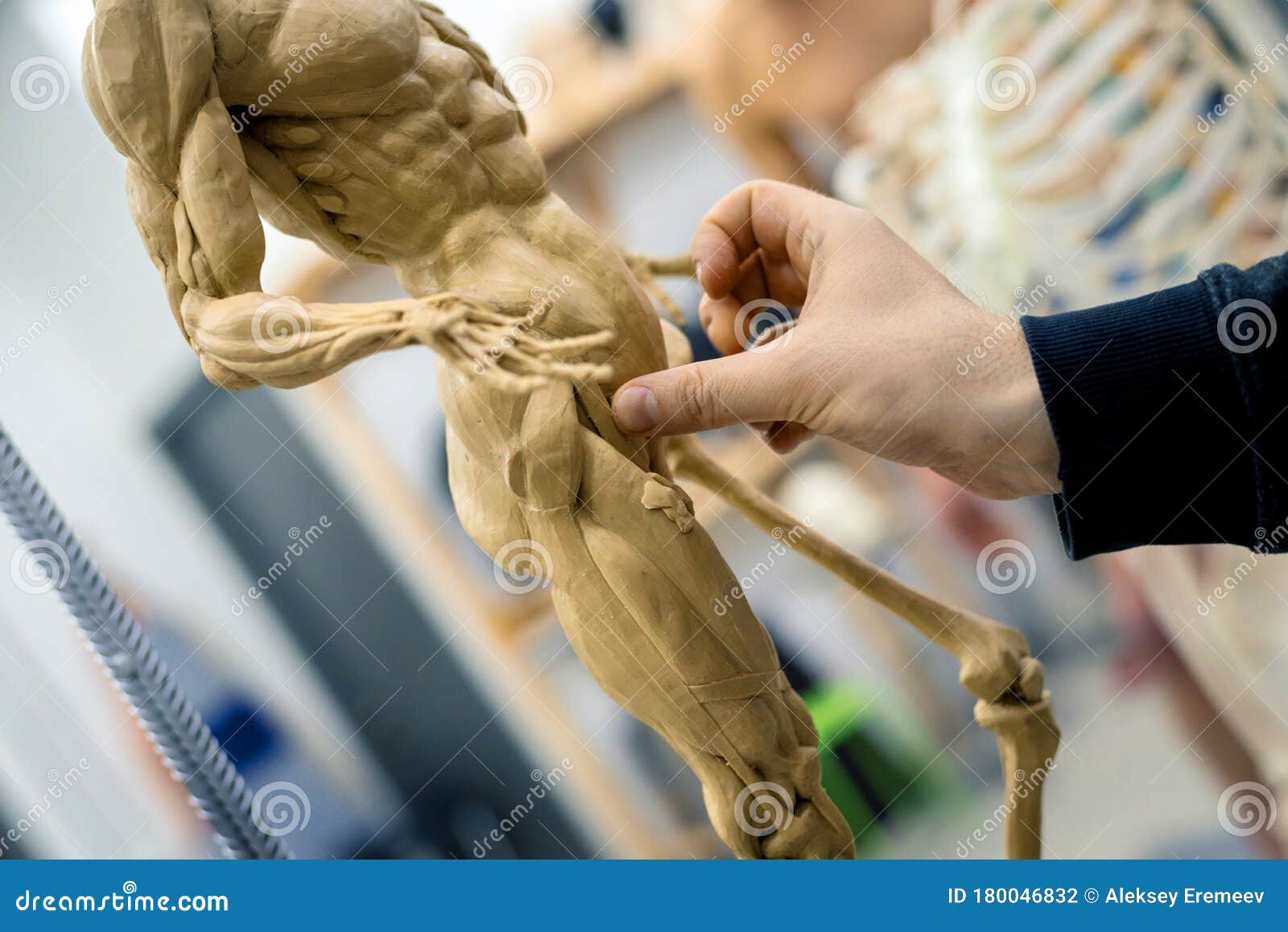 Hands of the Master Sculpt a Sculpture of the Human Skeleton with ...