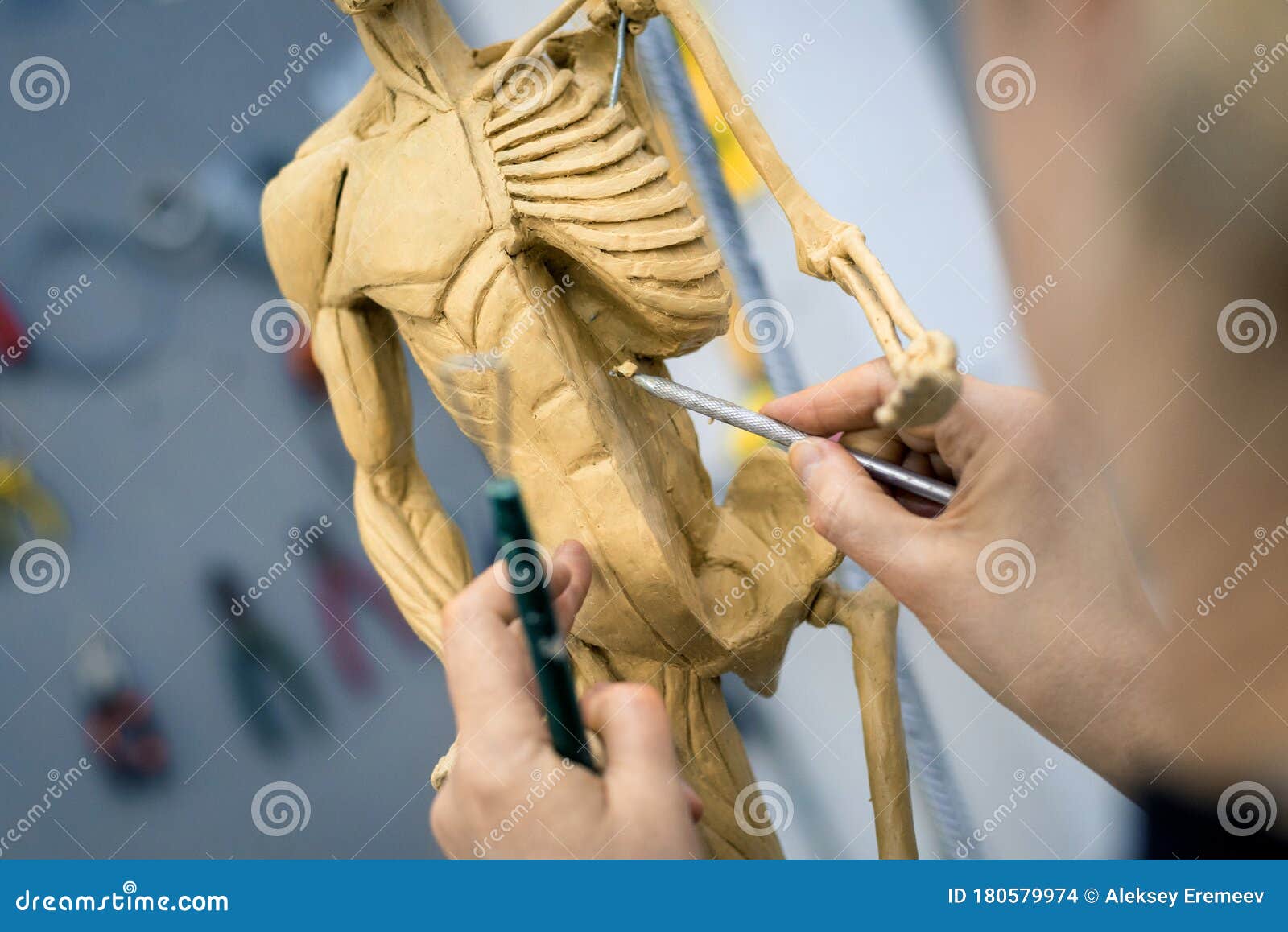 Hands Of The Master Sculpt A Sculpture Of The Human Skeleton With ...
