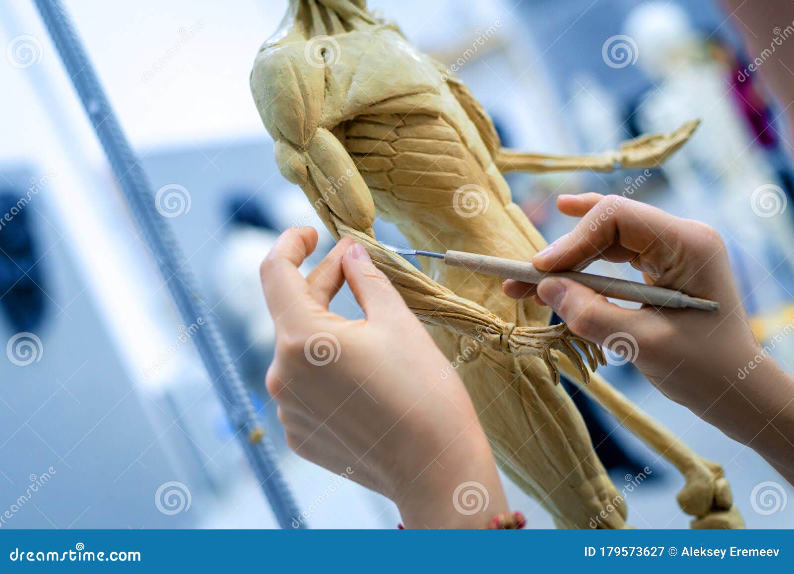 Hands of the Master Sculpt a Sculpture of the Human Skeleton with ...