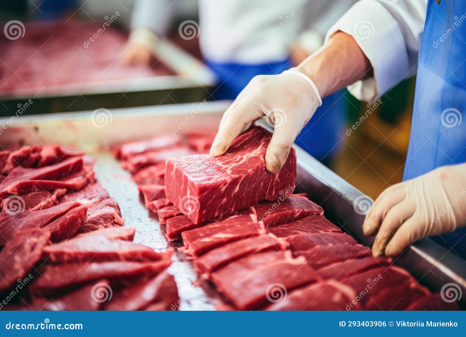 Hands of a Meat Processing Plant Worker in Production Stock ...