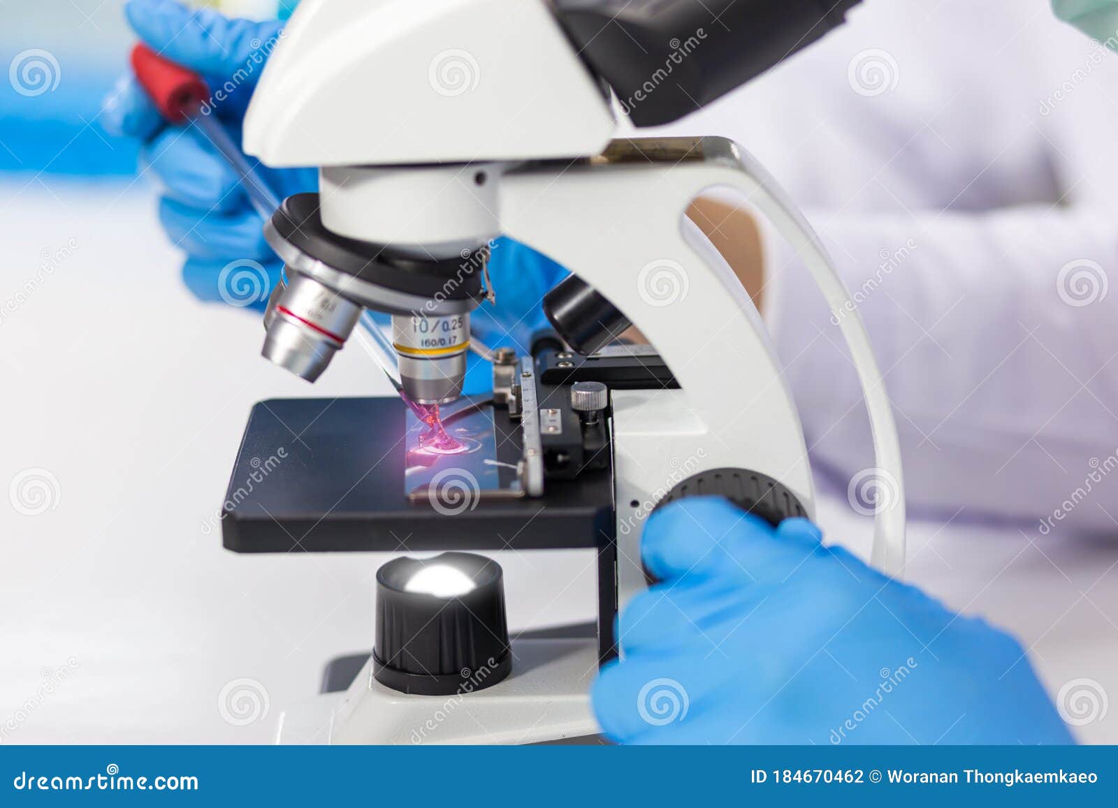 The Hands of a Researcher Using a Microscope To Work in the Laboratory ...