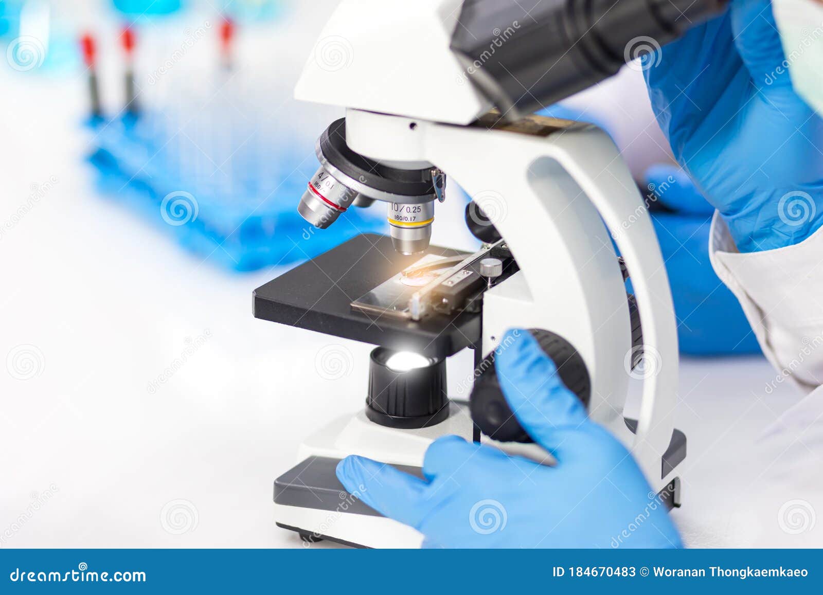 The Hands of a Researcher are Using a Microscope To Work in the ...