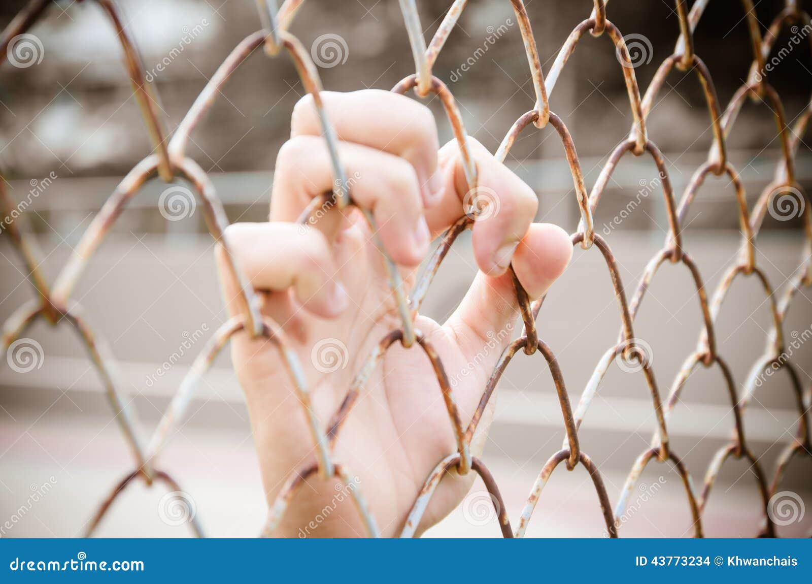 Hands with Mesh Cage, Hands with Steel Mesh Fence Stock Photo - Image ...