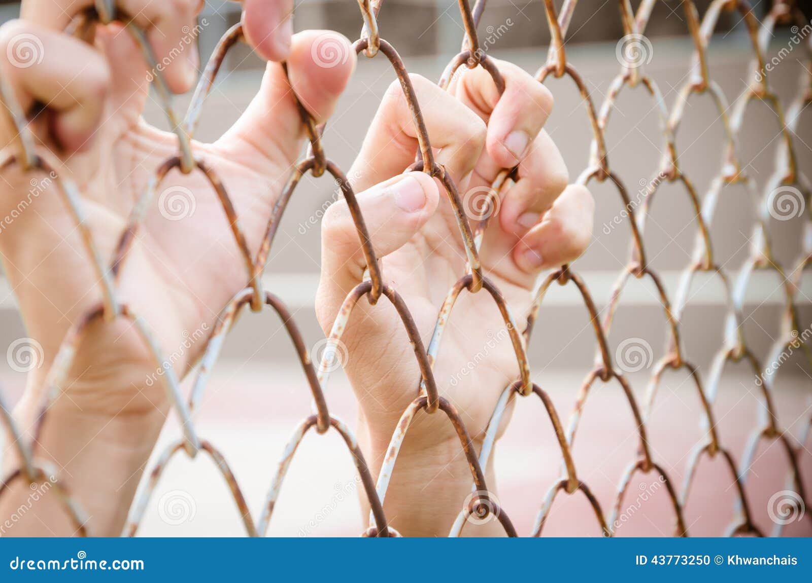 Hands with Mesh Cage, Hands with Steel Mesh Fence Stock Photo - Image ...