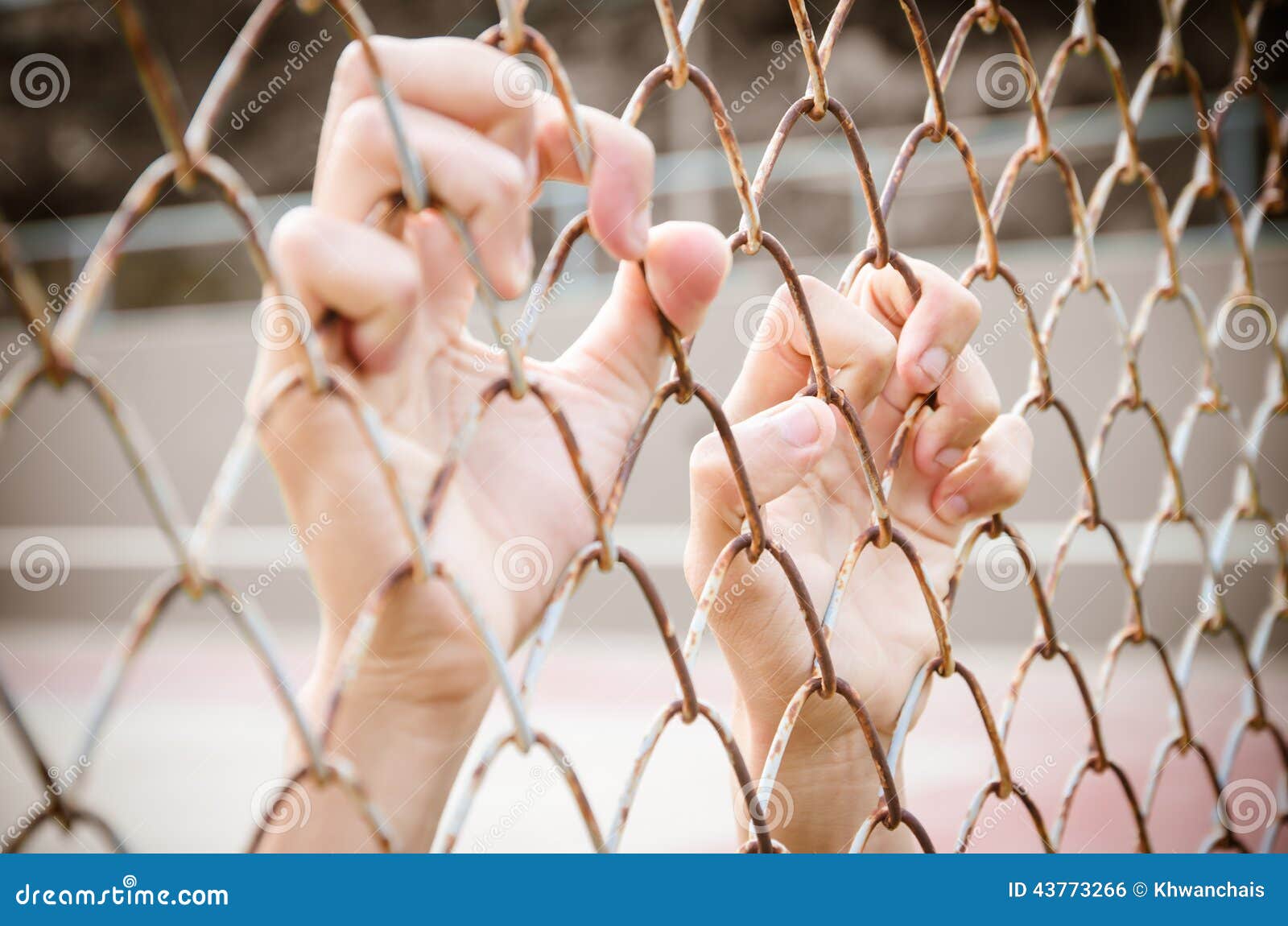 Hands with Mesh Cage, Hands with Steel Mesh Fence Stock Photo - Image ...