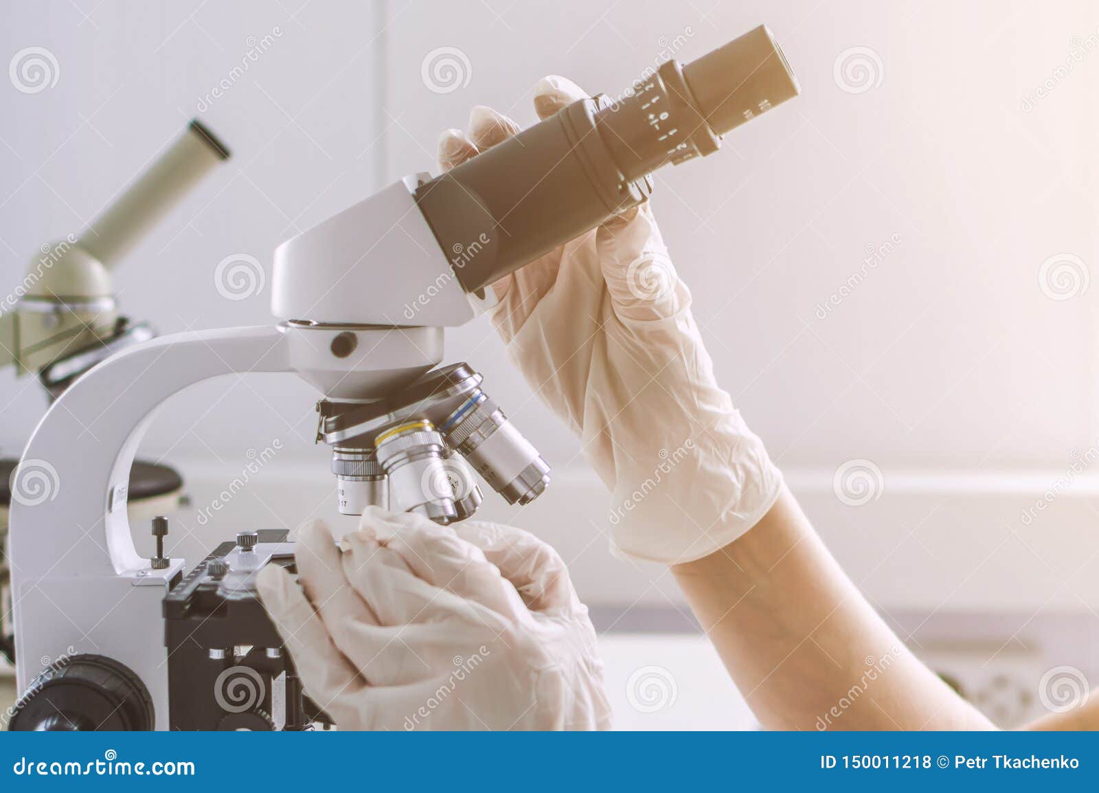 Hands with Microscope in the Laboratory Stock Photo - Image of drug ...
