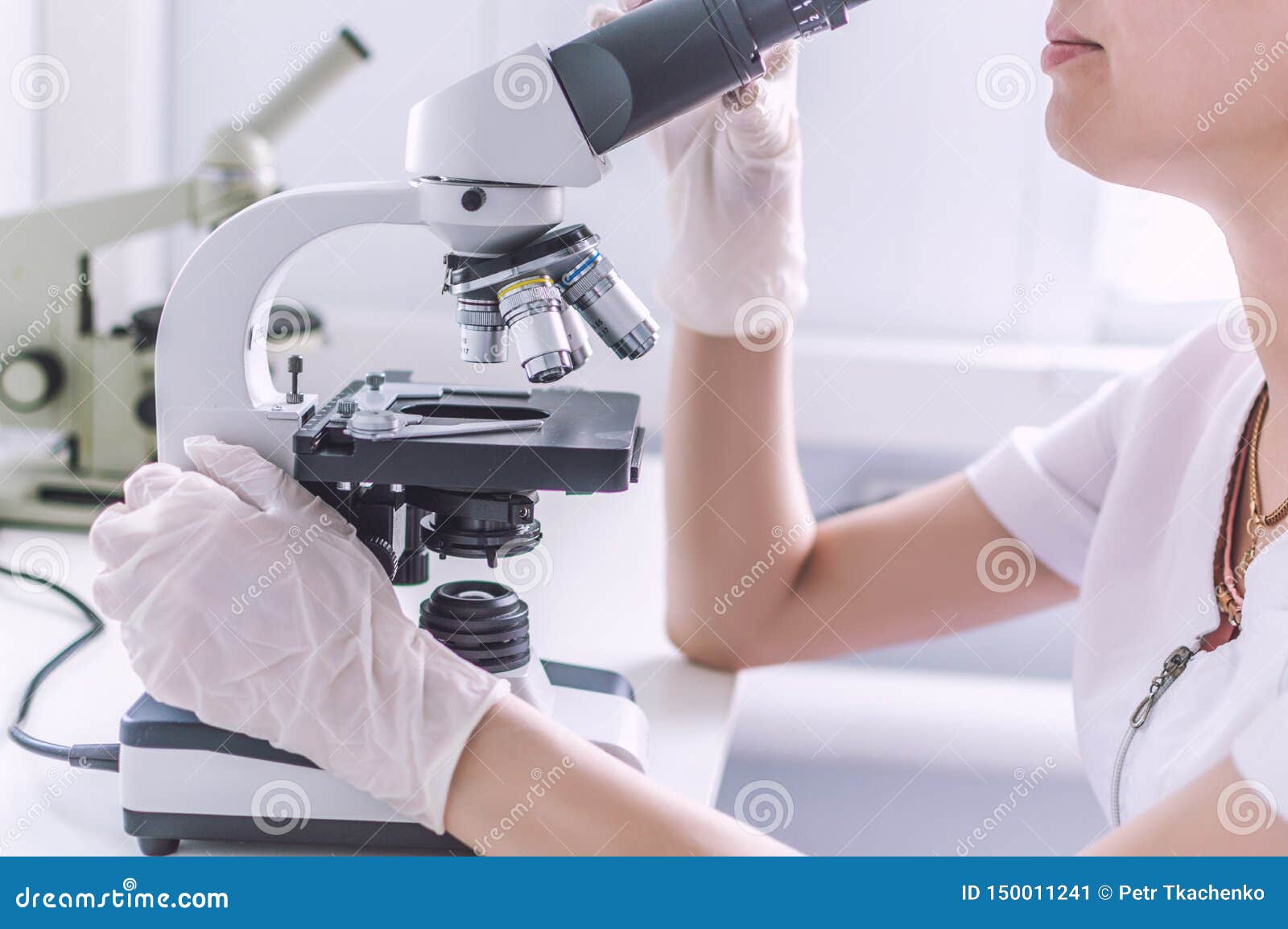 Hands with Microscope in the Laboratory Stock Image - Image of ...
