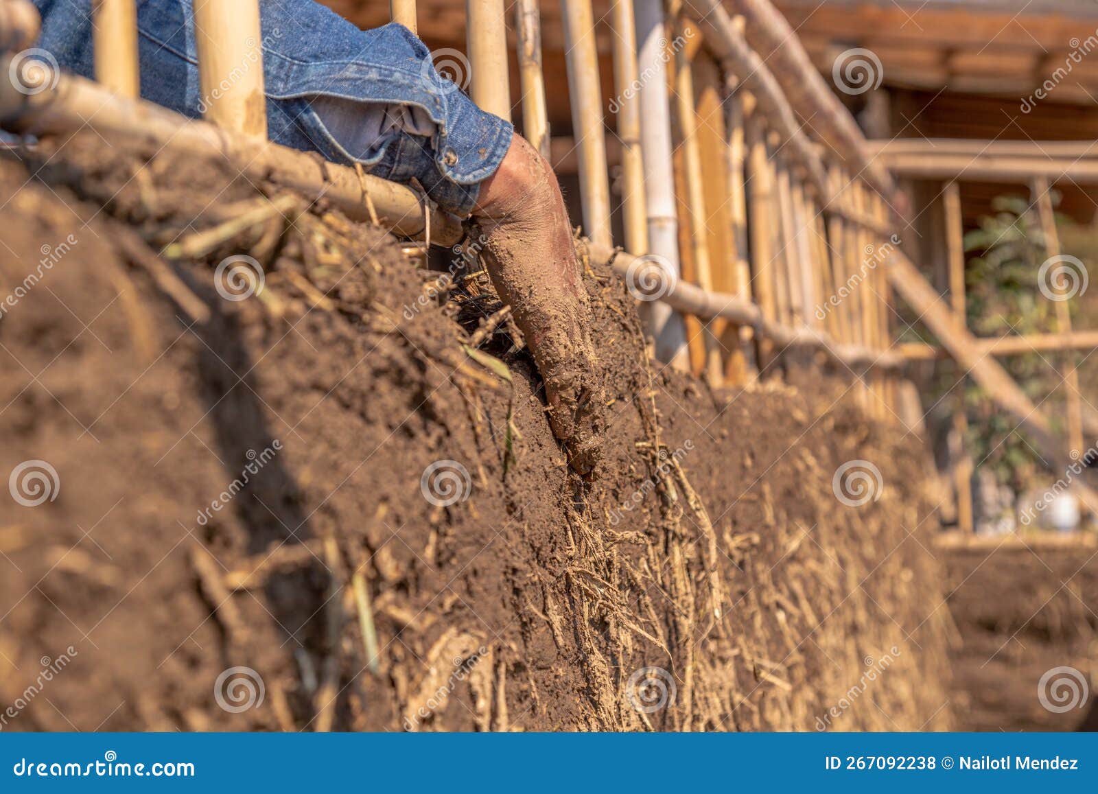 Hands on a Mud Wall of a Latino Man, Bioconstruction Technique Stock ...