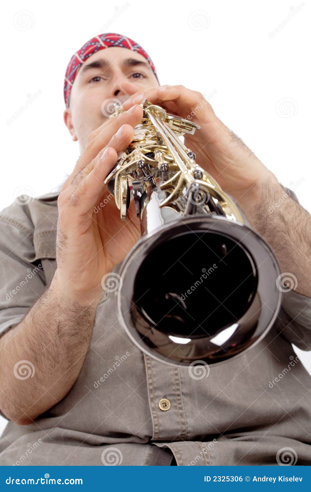 Hands Of The Musician Picture. Image: 2325306