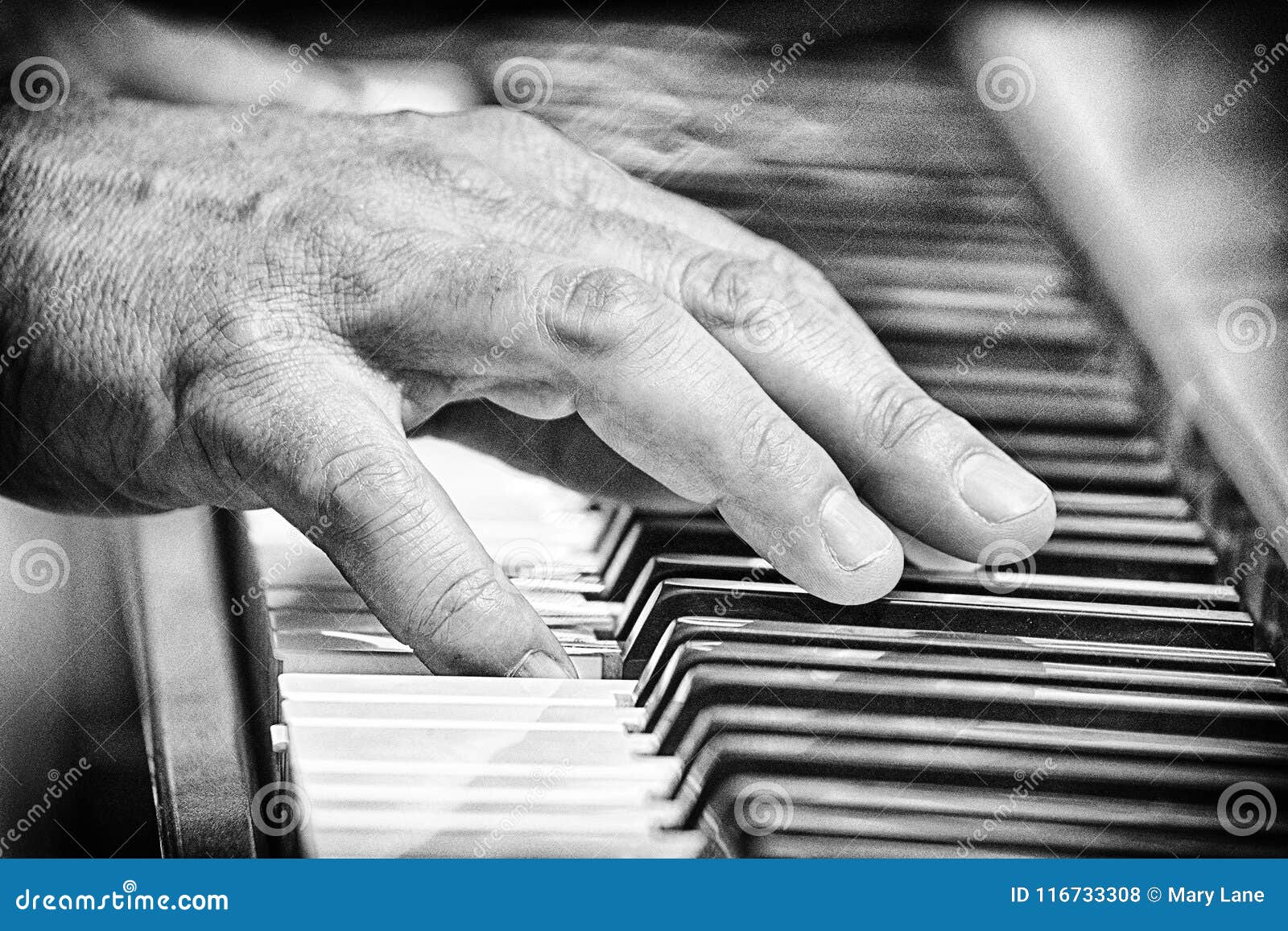 Keyboards stock photo. Image of harmony, keyboard, audio - 116733308