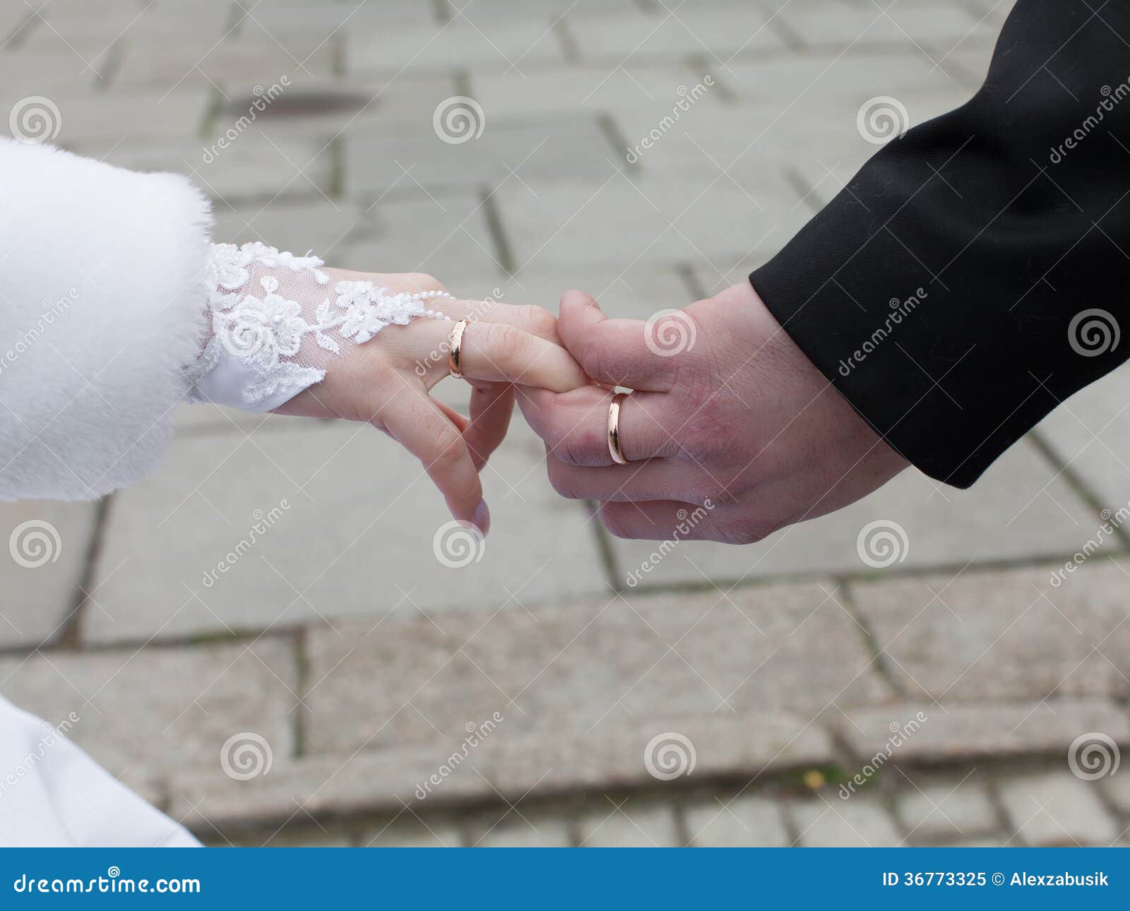 Hands of Newly Wedded with Wedding Rings Stock Image - Image of parts ...
