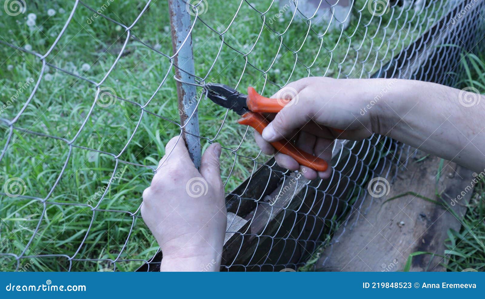Hands with Nippers Cut the Wire when Attaching the Fence Mesh Stock ...