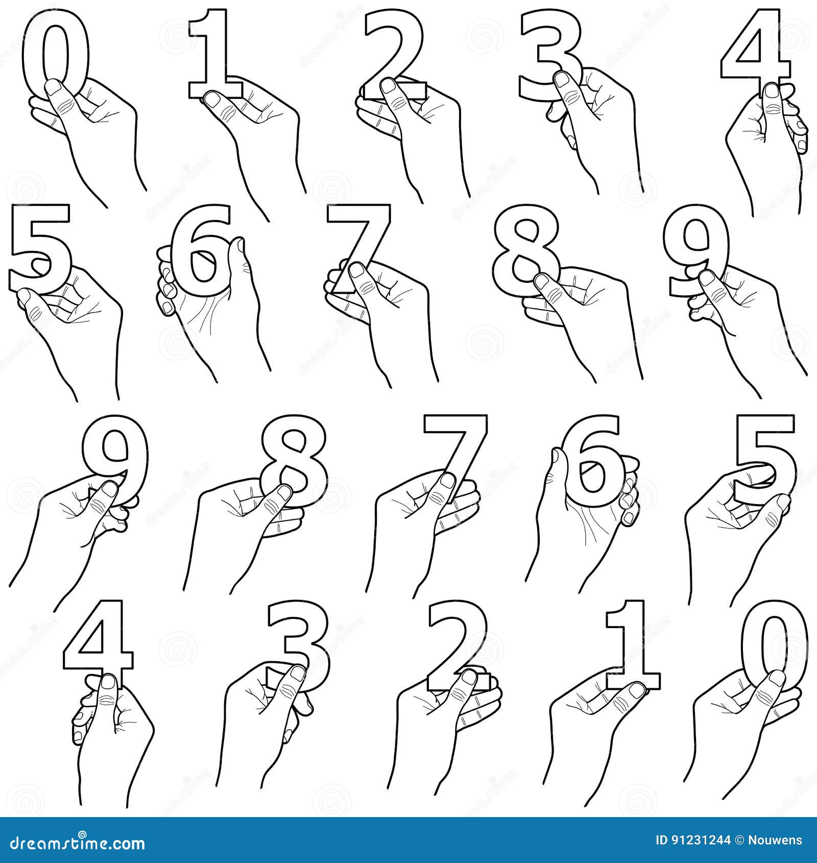 Hand with Number Vector Line Illustration Stock Vector - Illustration ...