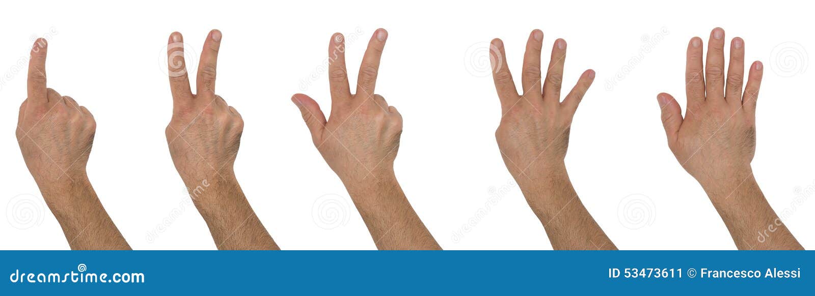 Hands With Numbers Royalty-Free Stock Photo | CartoonDealer.com #19224045