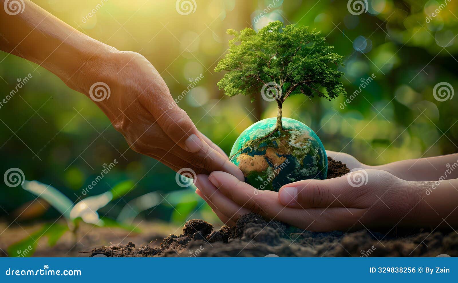 Hands Nurturing A Small Tree Growing On Earth Globe,Environmental ...