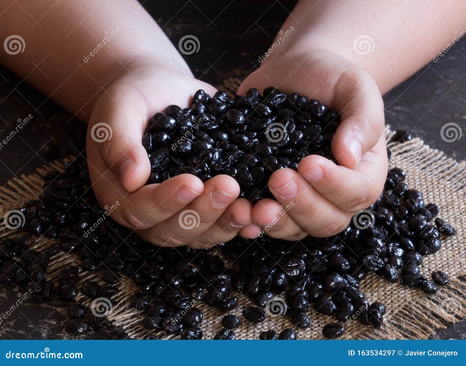 Hands Offering a Handful of Coffee Beans Stock Image - Image of ...