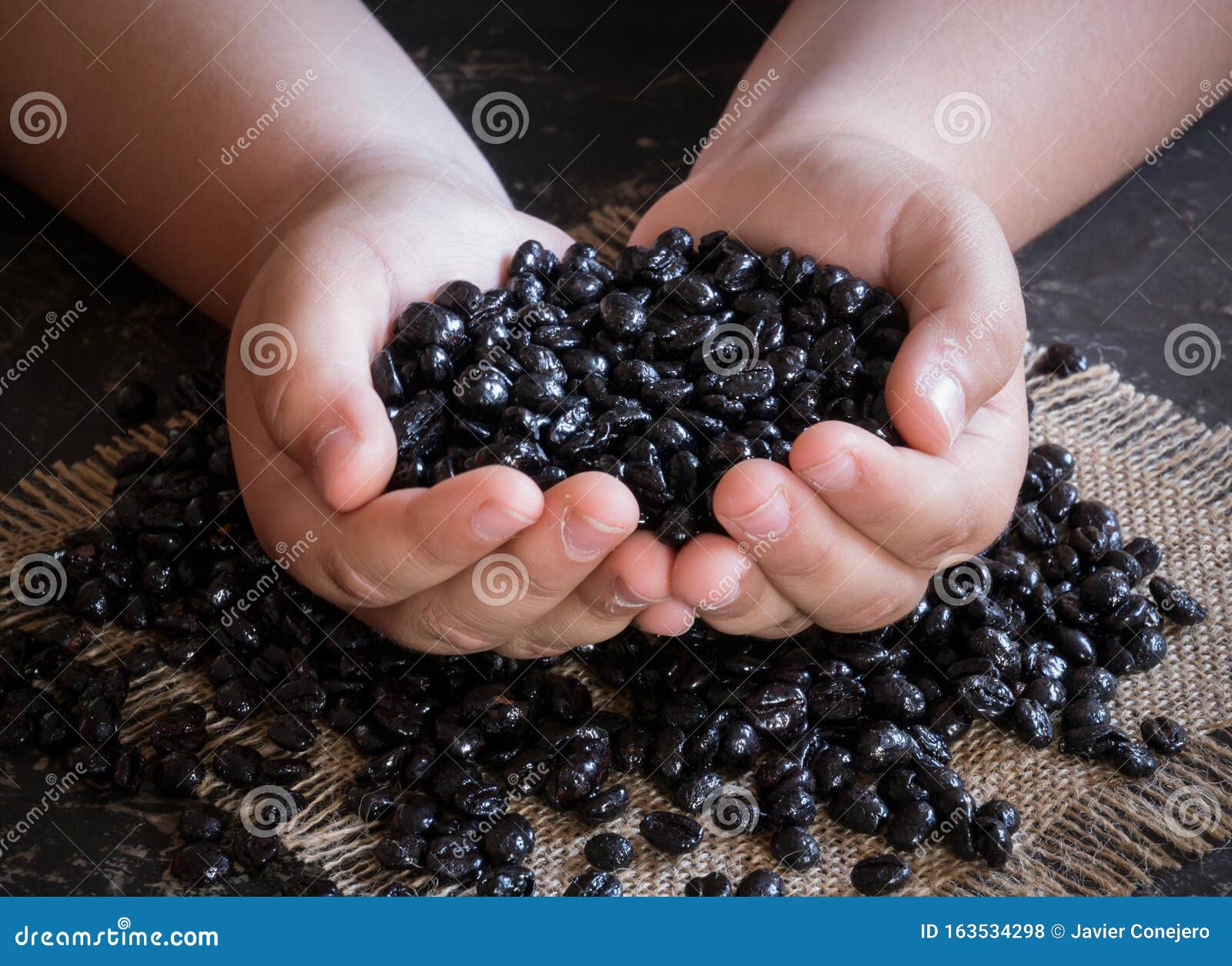 Hands Offering a Handful of Coffee Beans Stock Photo - Image of mill ...
