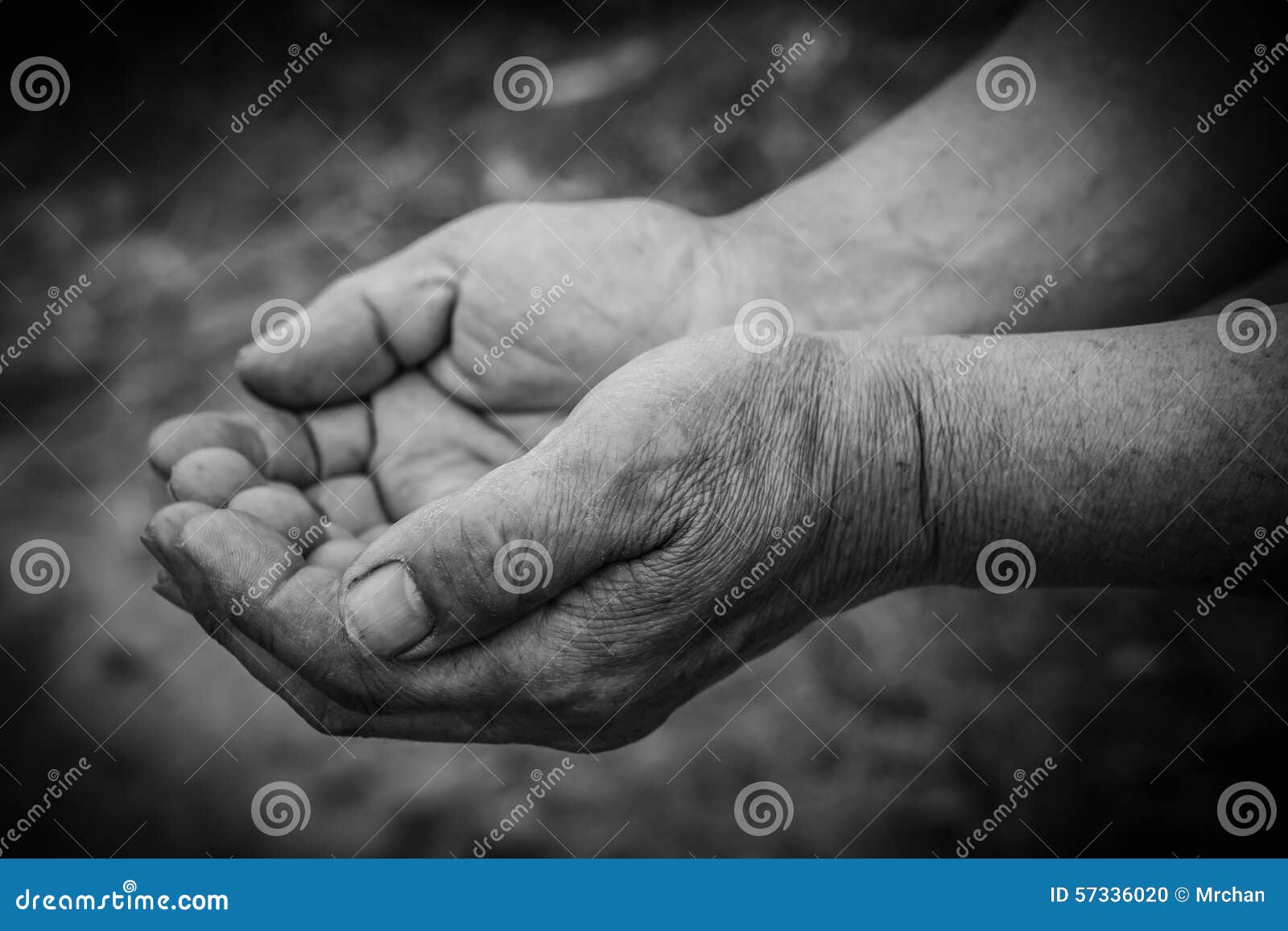 Hands stock photo. Image of holding, praying, open, corners - 57336020