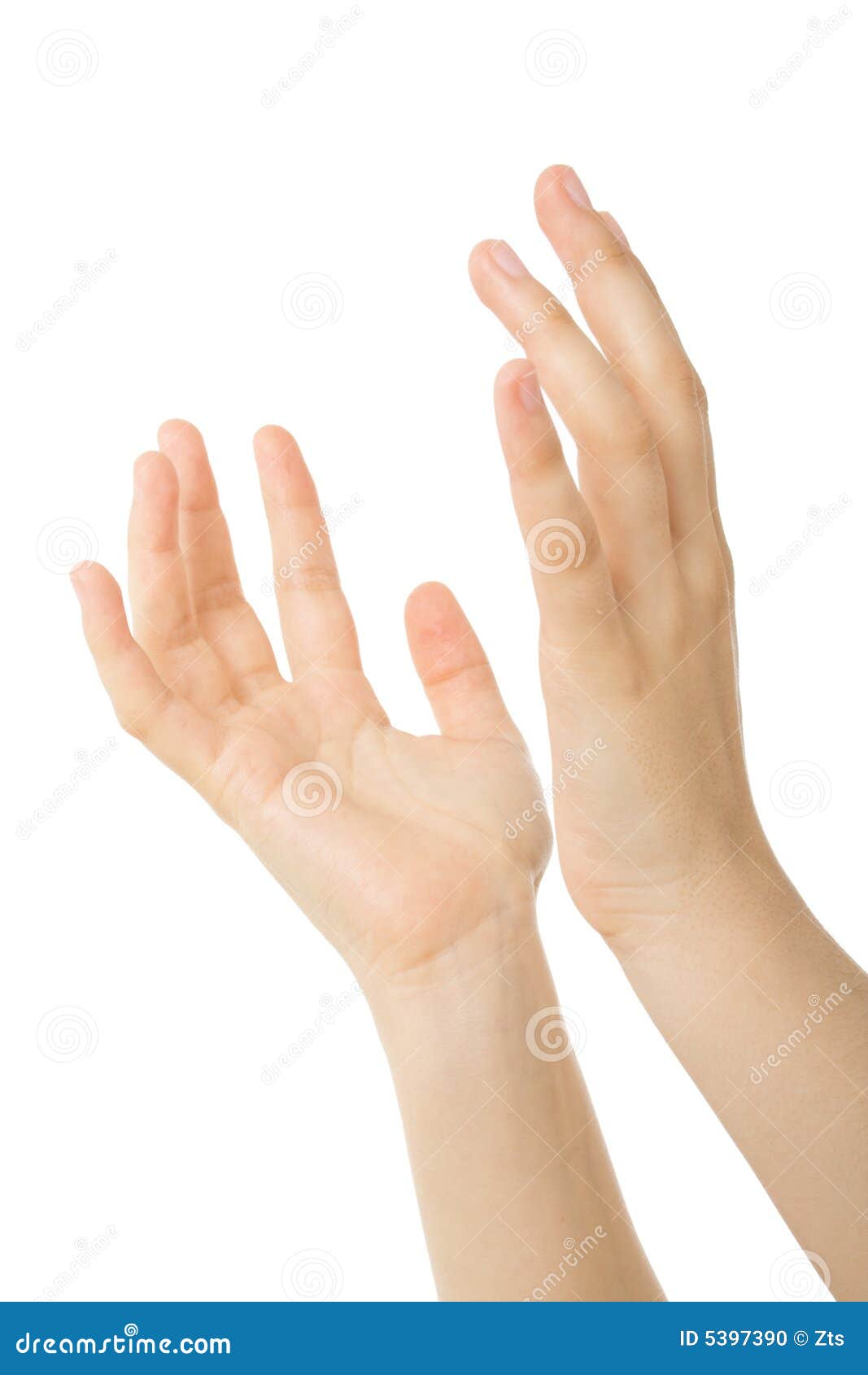 Hands open in prayer stock photo. Image of pointing, female - 5397390