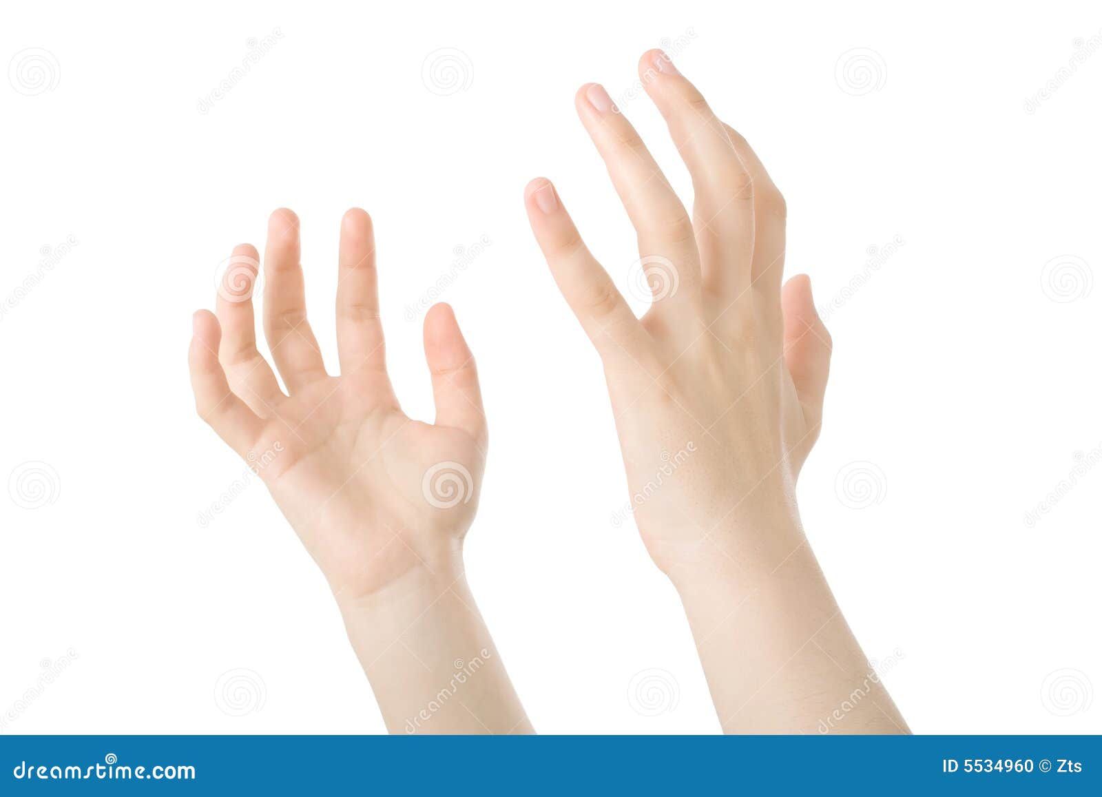 Hands open in prayer stock photo. Image of open, isolated - 5534960