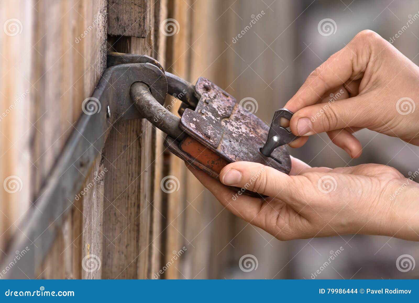 Hands opening the padlock stock photo. Image of human - 79986444