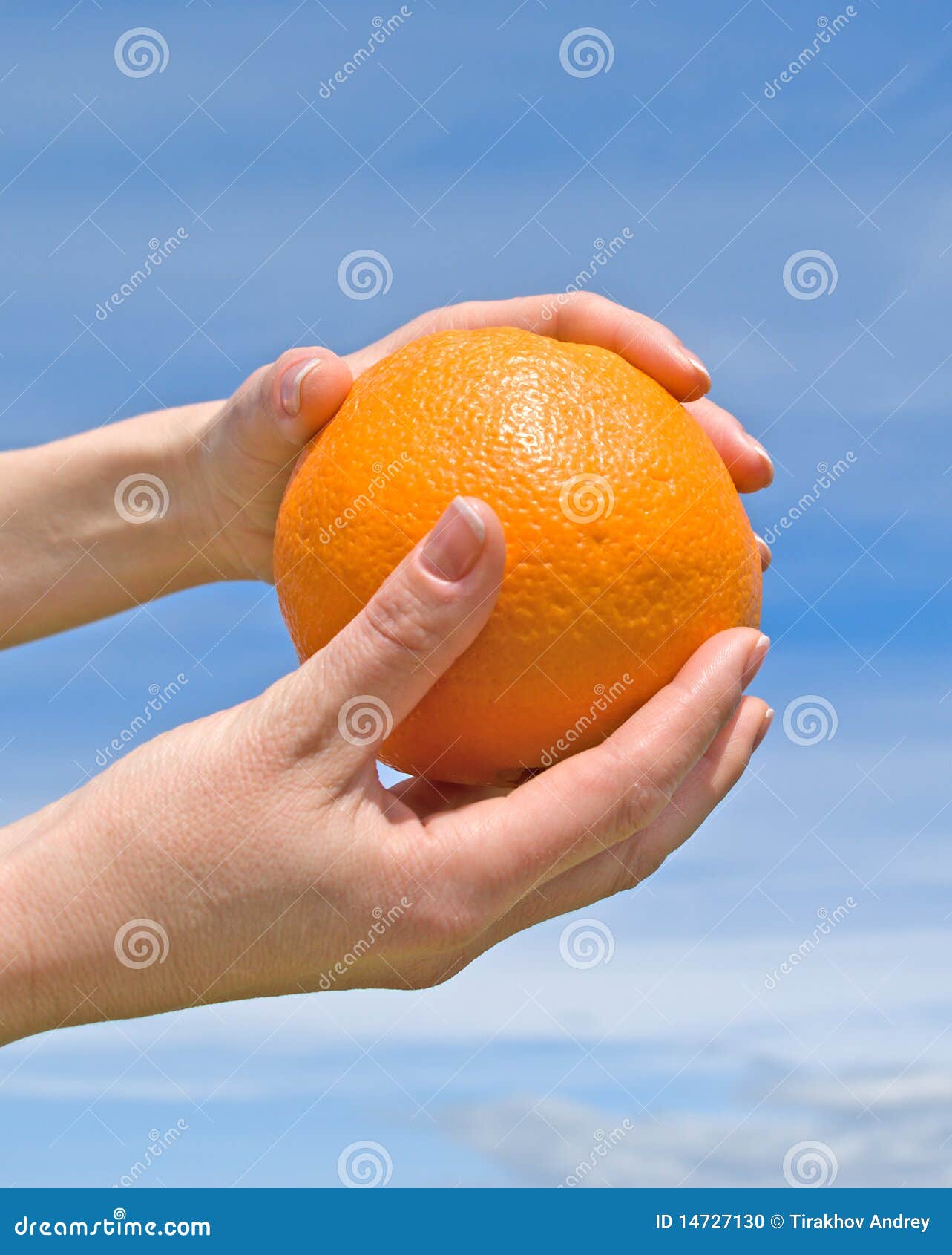 Hands with an orange stock photo. Image of harmony, environment - 14727130