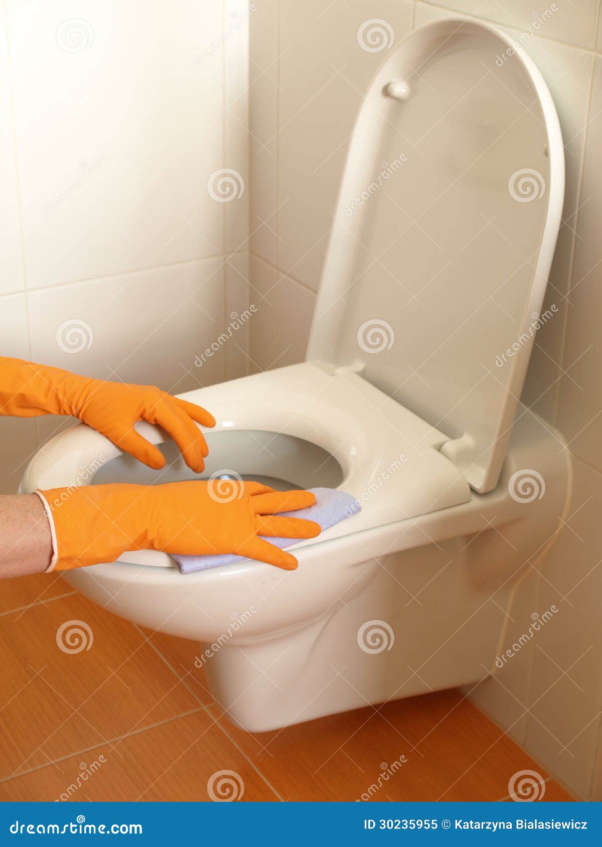 Cleaning a WC stock image. Image of closet, closeup, home - 30235955