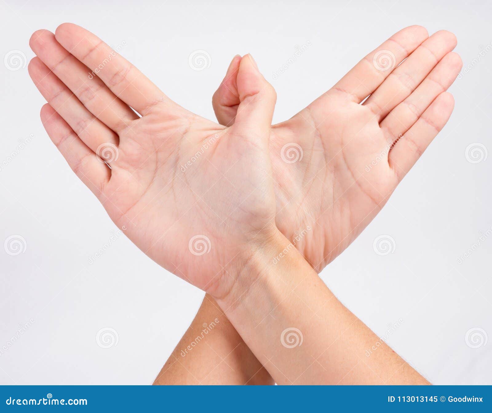 Hands on the Palm Side Folded with a Dove Stock Image - Image of body ... Hands on the Palm Side Folded with a Dove Stock Image - Image of body ...