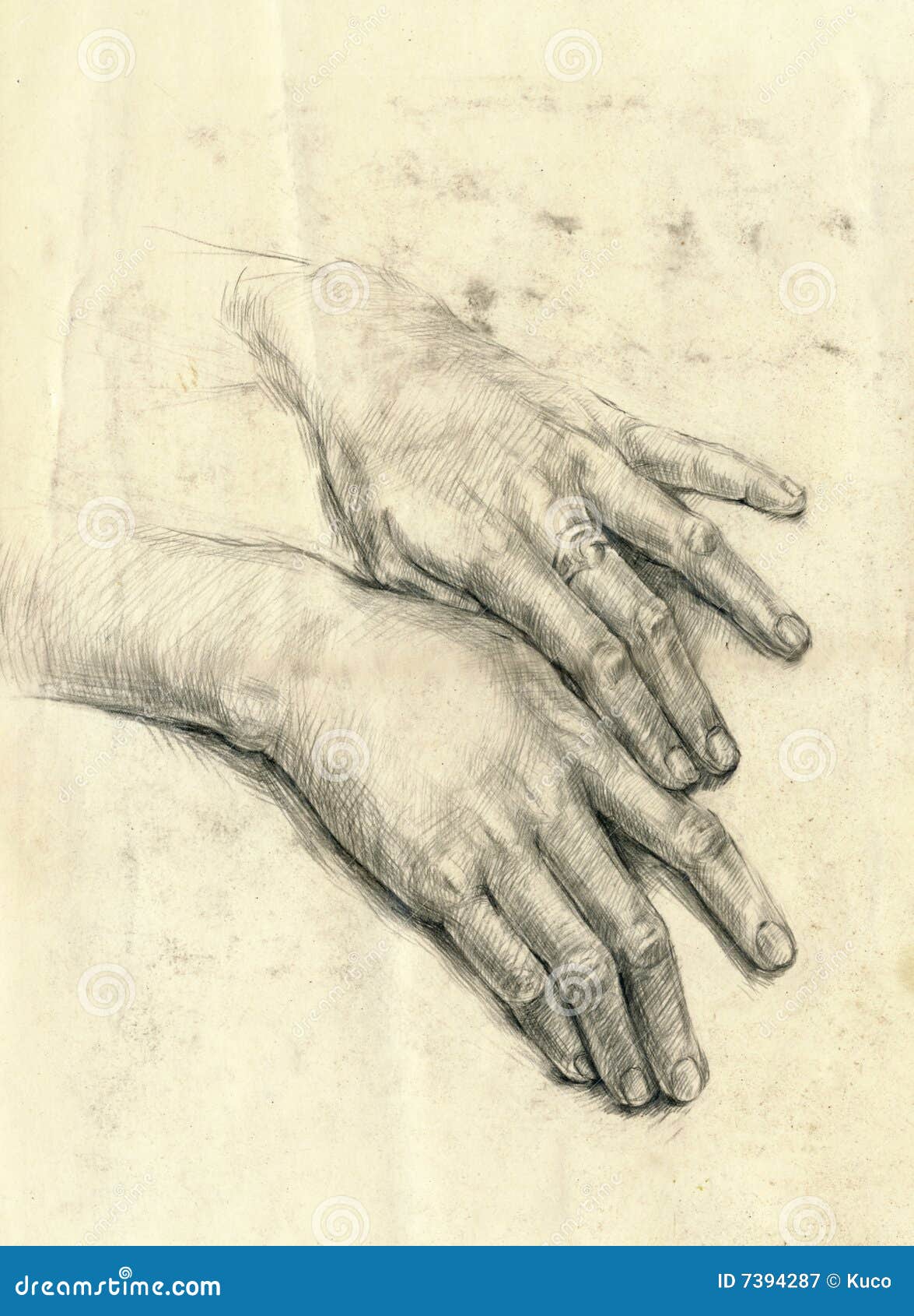 Hands, palms, drawing stock illustration. Illustration of study - 7394287
