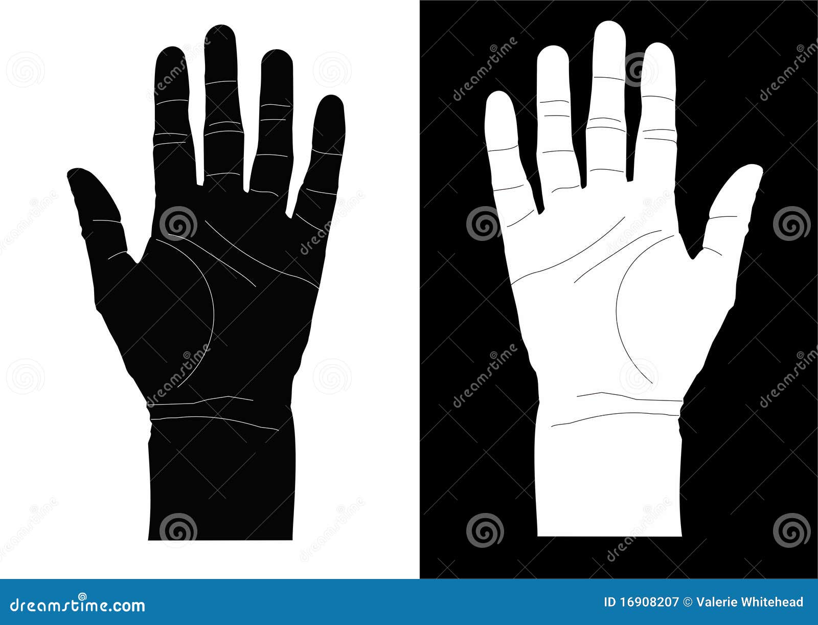 Hands Palms showing stock vector. Illustration of pads - 16908207