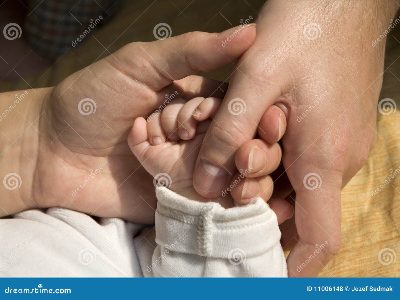 Hands of parents and baby stock photo. Image of fatherhood - 11006148