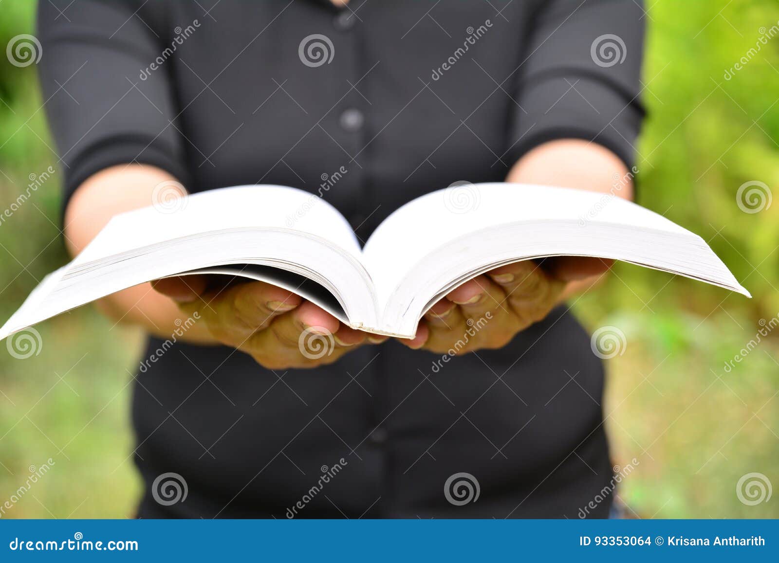 Hands of Person Hold the Book on Nature Background Stock Photo - Image ...