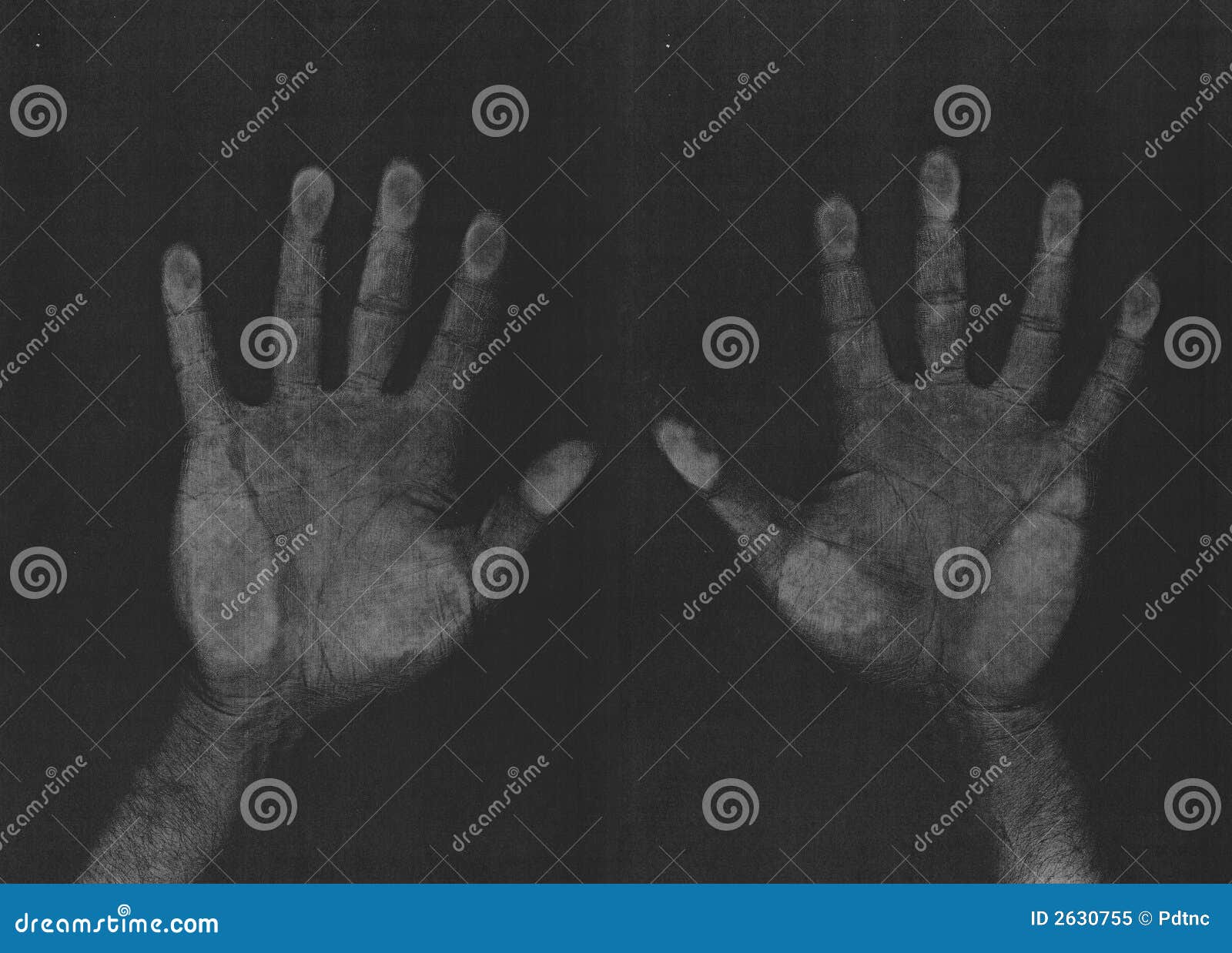 Hands photocopy Scan stock image. Image of photocopy, white - 2630755