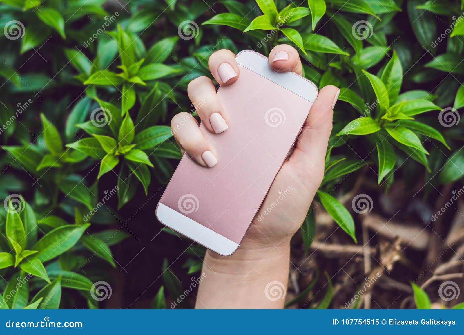 Hands with Pink Nails Hold Pink Phone Stock Image - Image of hand ...
