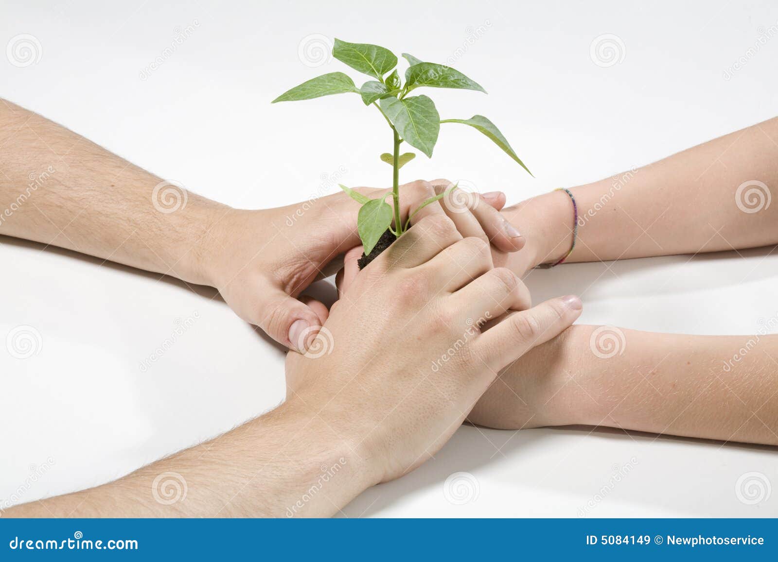 Hands with a plant stock image. Image of life, enviroment - 5084149