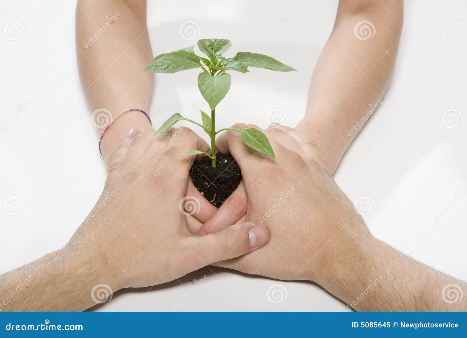 Hands with a plant stock image. Image of background, metaphor - 5085645