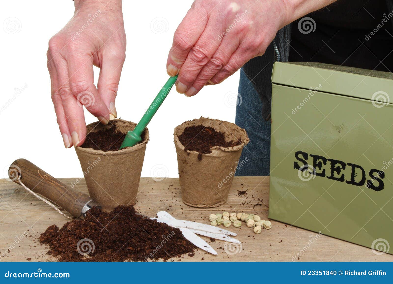 Hands planting seeds stock photo. Image of horticulture - 23351840