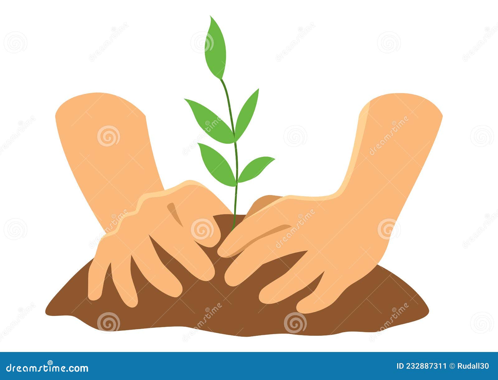 Hands Planting A Young Tree Sapling Into Soil, Surrounded By Charred ...